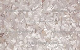 River shell slab surface - troca shell slab, mosaic tiles & surface ...